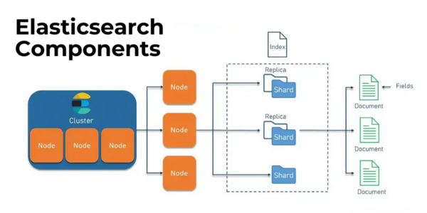 Top 10 Best Databases to Use in 2024
