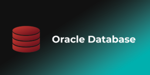 Top 10 Best Databases to Use in 2024