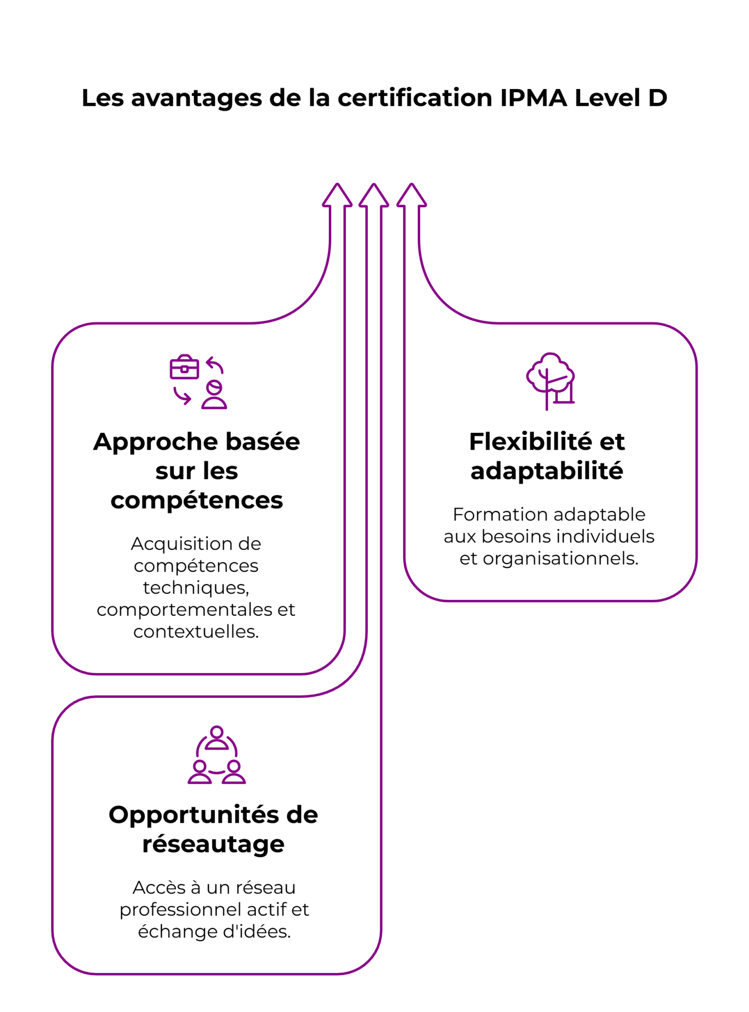 IPMA Level D vs PMP: Which Certification to Choose for Success in ...
